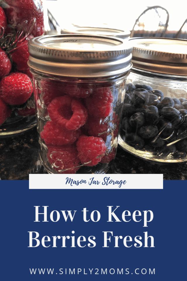 How to Store Berries to Keep Them Fresh – Simply2moms