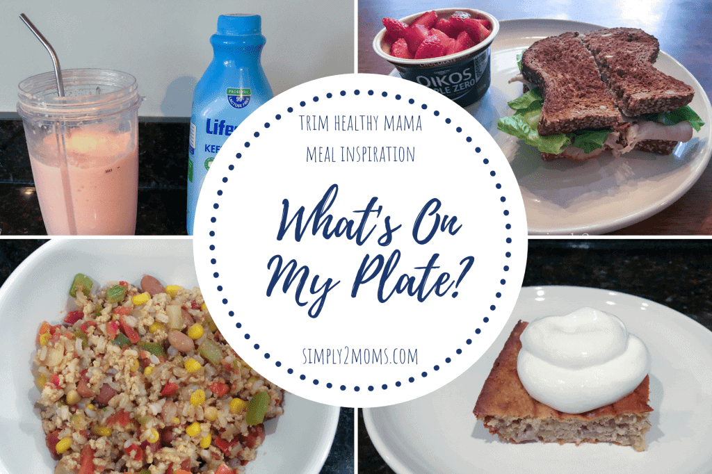 What's On My Plate - A Day of E Meals – Simply2moms