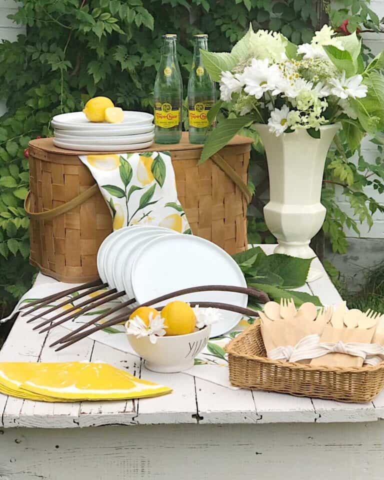 5 Simple Steps to Host a Small Backyard Picnic – Simply2moms