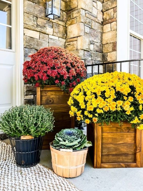 5 Easy and Affordable Small Porch Decorating Ideas for Fall