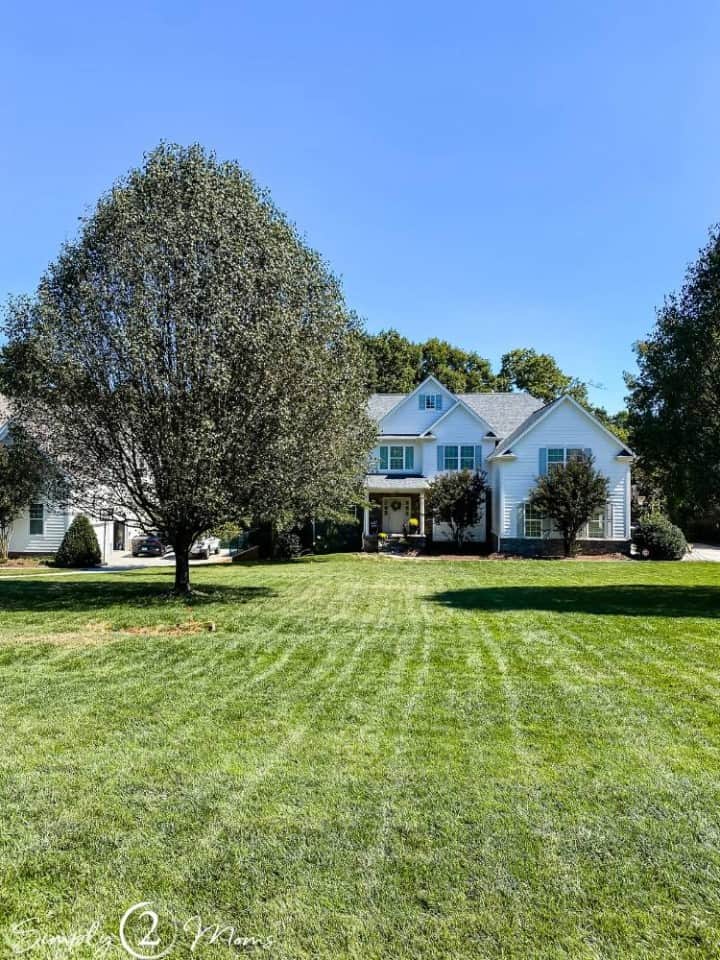 Easy Steps to Design a Front Yard Foundation Landscape Plan