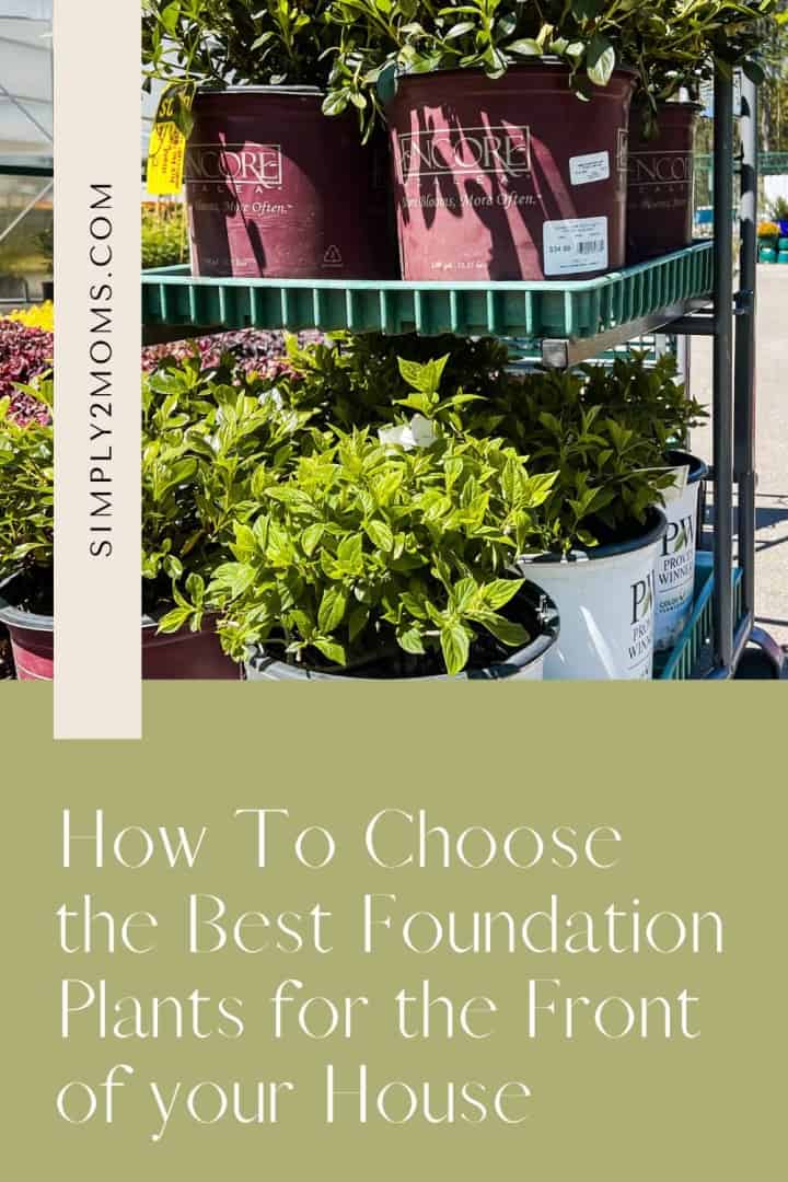 How to Choose the Best Foundation Plants for Your Front Yard
