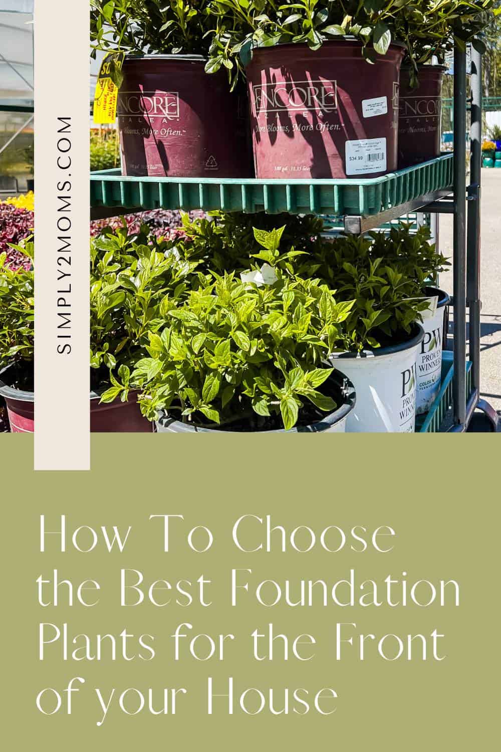 How to Choose the Best Foundation Plants for Your Front Yard