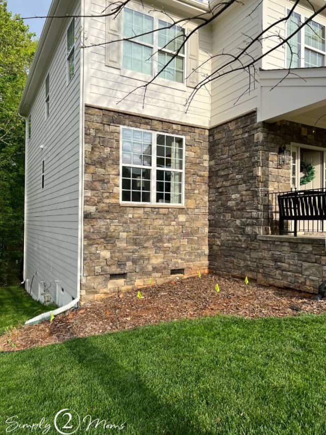 5 Easy Tips to Plant New Shrubs and Trees – Simply2moms