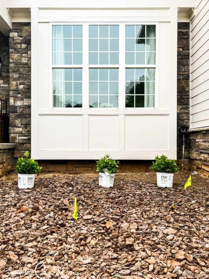 5 Easy Tips to Plant New Shrubs and Trees – Simply2moms