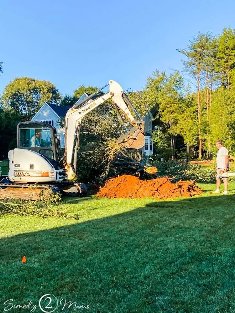 How to Remove Overgrown Shrubs from the Front of Your House