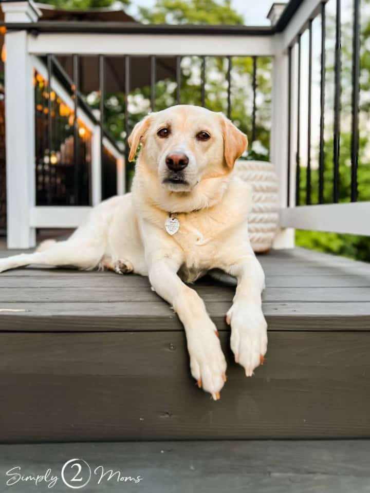 11 Incredible Ideas for Your Summer Outdoor Living Spaces