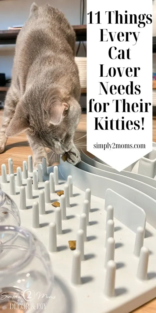 11 Must Have Aesthetic Cat Care Products That Really Work!
