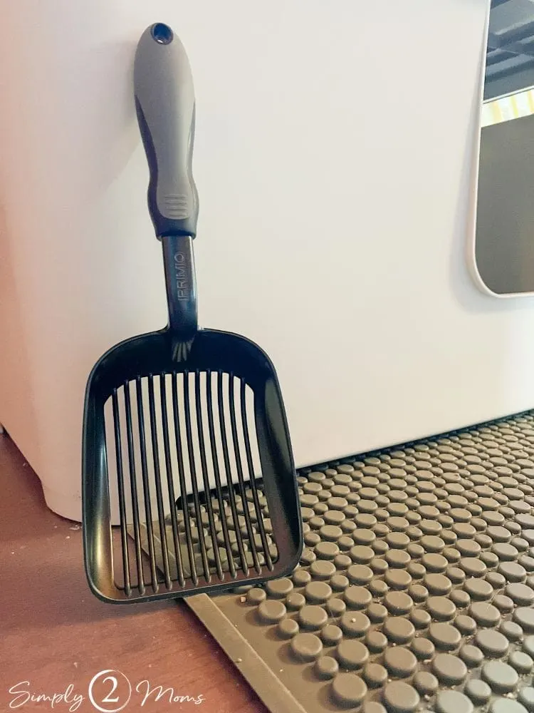 11 Must Have Aesthetic Cat Care Products That Really Work!