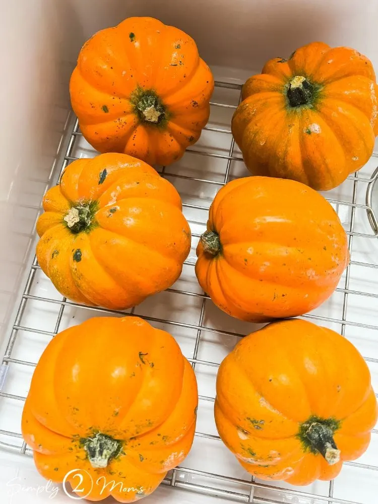 How to Make Mini Pumpkin Bowls in Just 5 Easy Steps