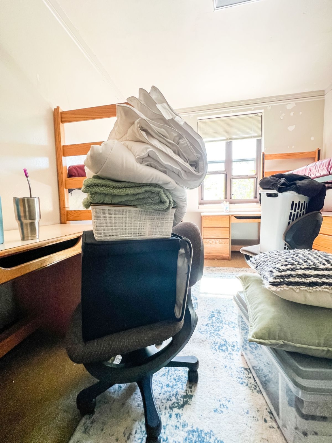 15 College Move Out Tips for Parents
